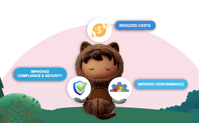 Streamline Your Salesforce With Data Archiving Ayan Softwares